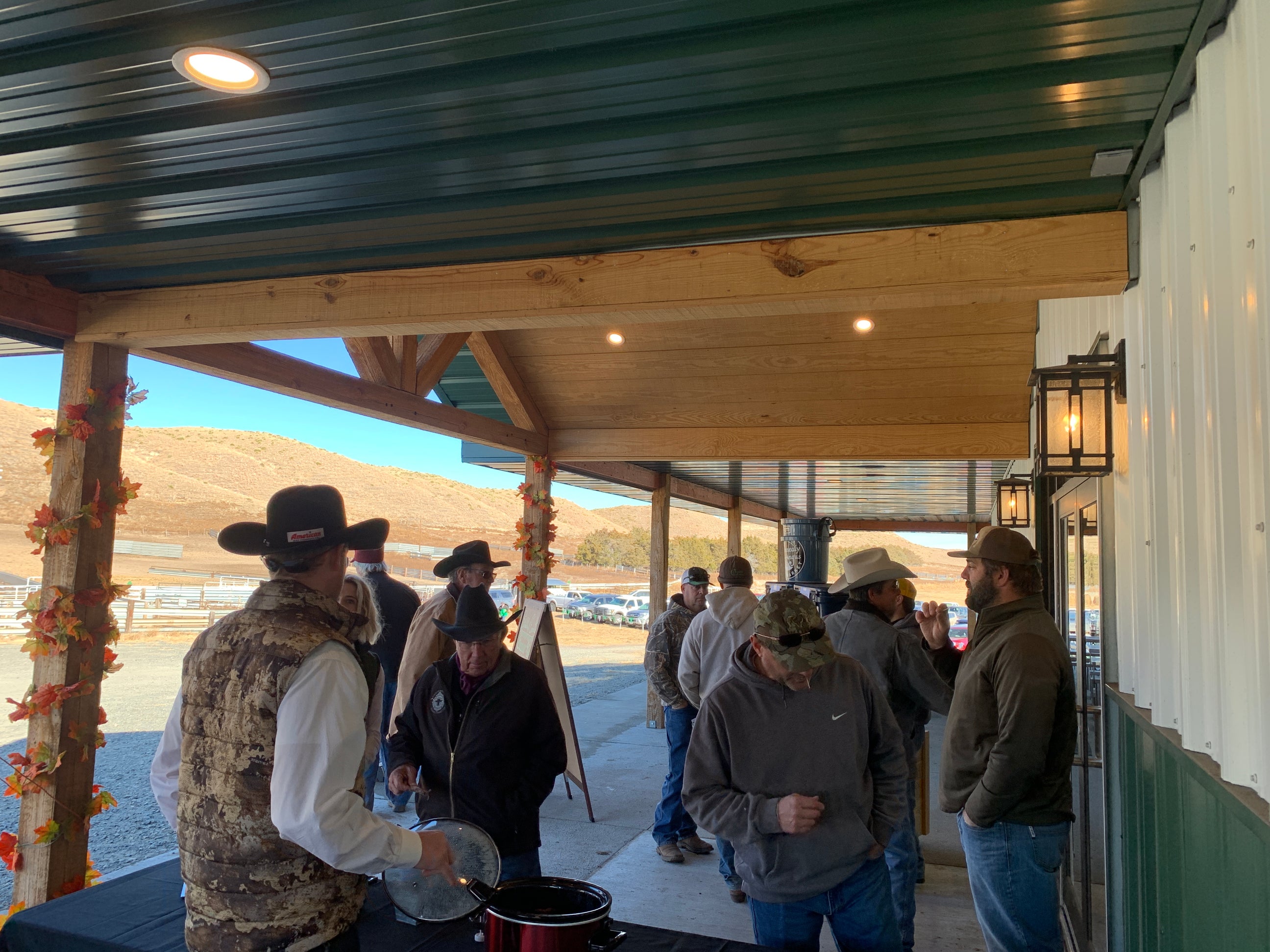 Fall Bull Sale - 475 Angus Bulls for sale – Connealy Angus